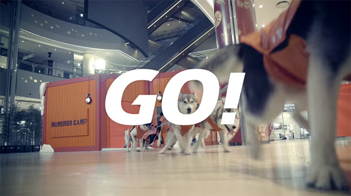 韩国The North Face：你以为我们只用“VR”和你玩虚的？ - 数英