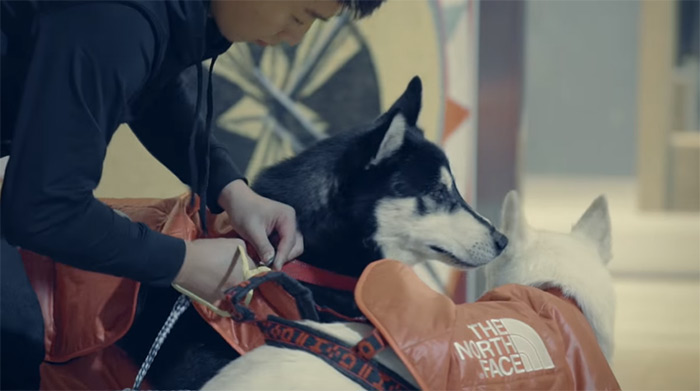 韩国The North Face：你以为我们只用“VR”和你玩虚的？ - 数英