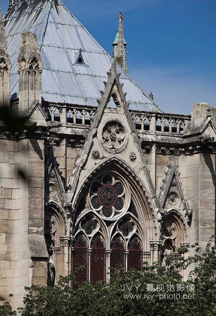 IVY蔓视觉影像出品 | 巴黎圣母院 - 数英