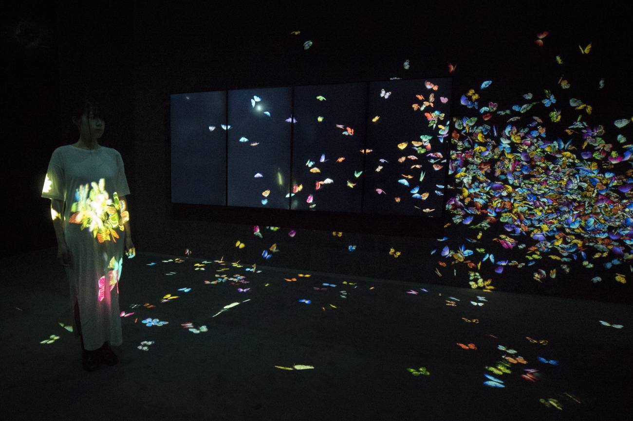 teamLab这块招牌火爆世界，只干了打破界限这一件事儿？ - 数英