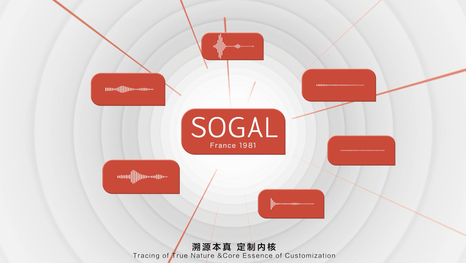 索菲亚品牌LOGO升级焕新短片 - 数英