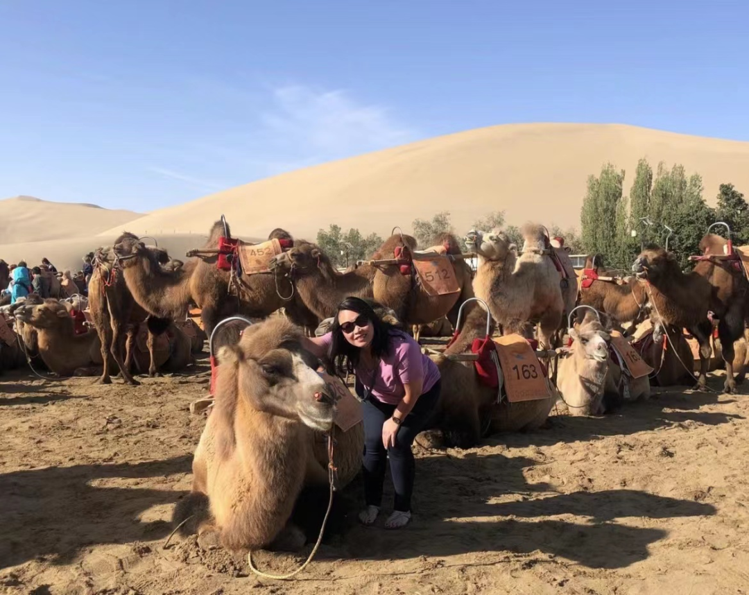 Sook Ping Chow：享受广告带来的新鲜感 - 数英