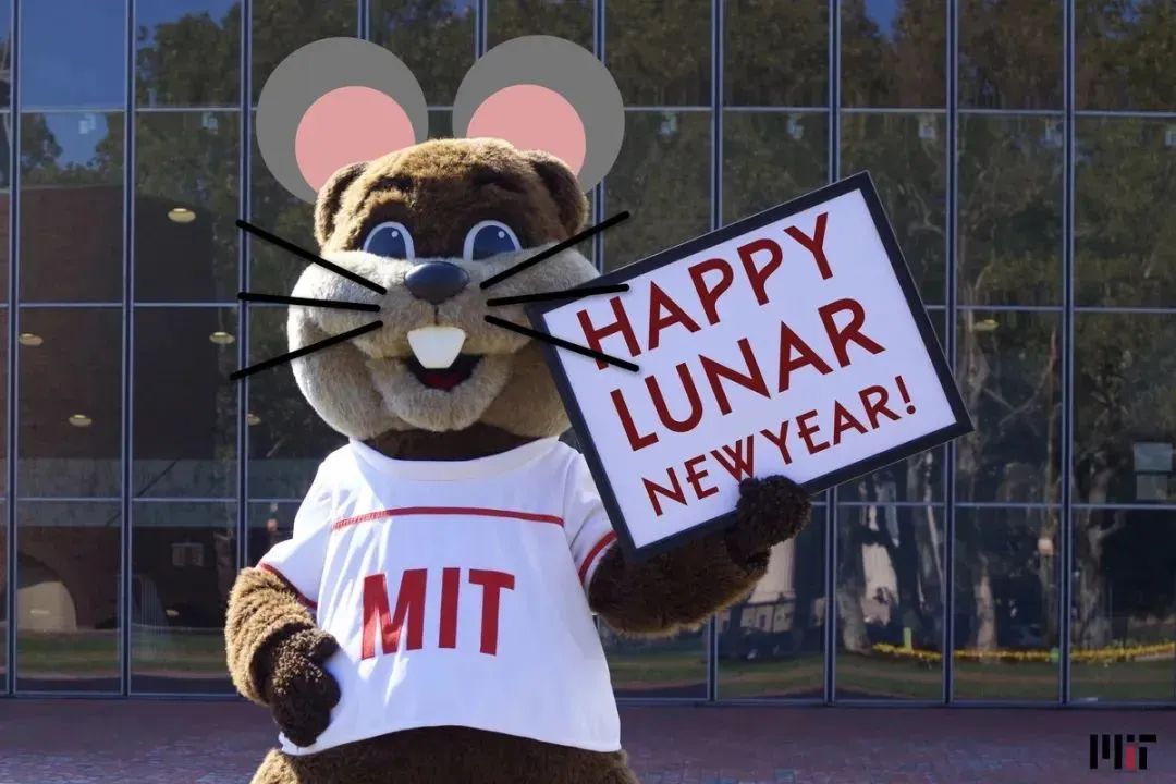 盘点10大高校吉祥物，各个都是形象担当 - 数英