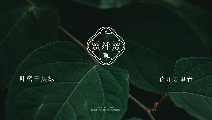 千纤草 x Hellolink 品牌升级全案设计 - 数英