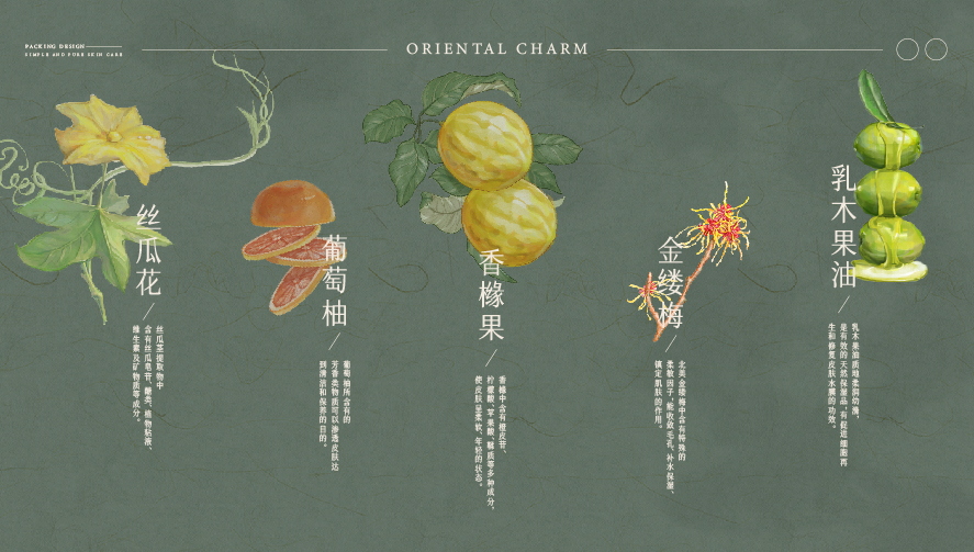 千纤草 x Hellolink 品牌升级全案设计 - 数英