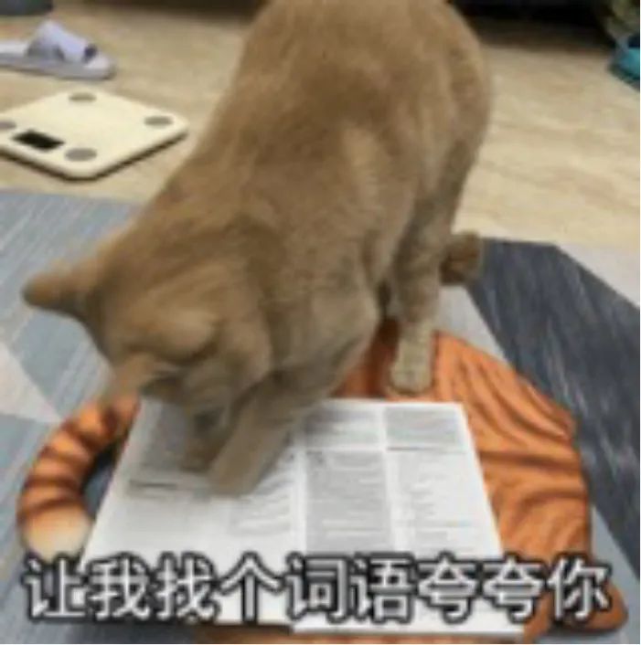 赫莲娜x特斯拉联名，与年轻人一起开电音节 - 数英