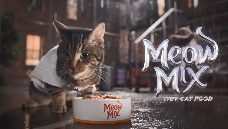 猫咪男团激情开麦，都是因为吃了Meow Mix 猫粮 - 数英