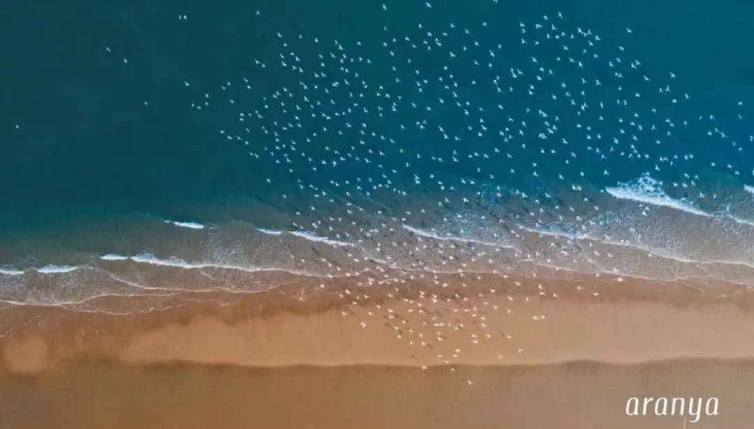 官宣 | 定档阿那亚！2023艾菲终审盛典暨CMO Retreat 9月开幕 - 数英