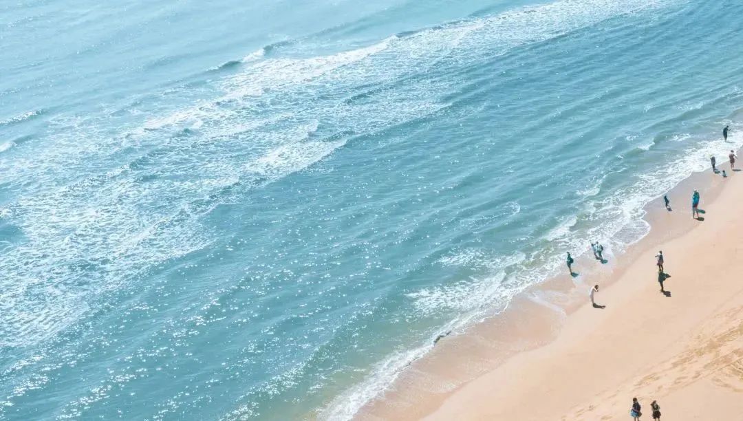 官宣 | 定档阿那亚！2023艾菲终审盛典暨CMO Retreat 9月开幕 - 数英