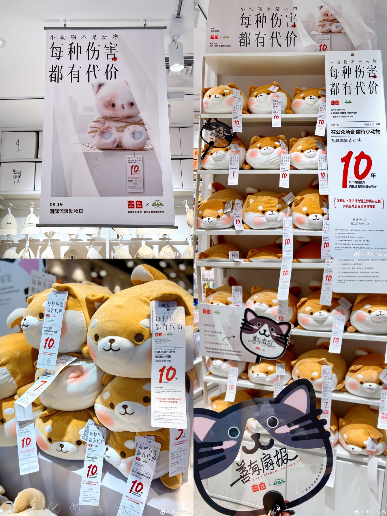 名创优品×国际流浪动物日：小动物不是玩物，每种伤害都有代价 - 数英