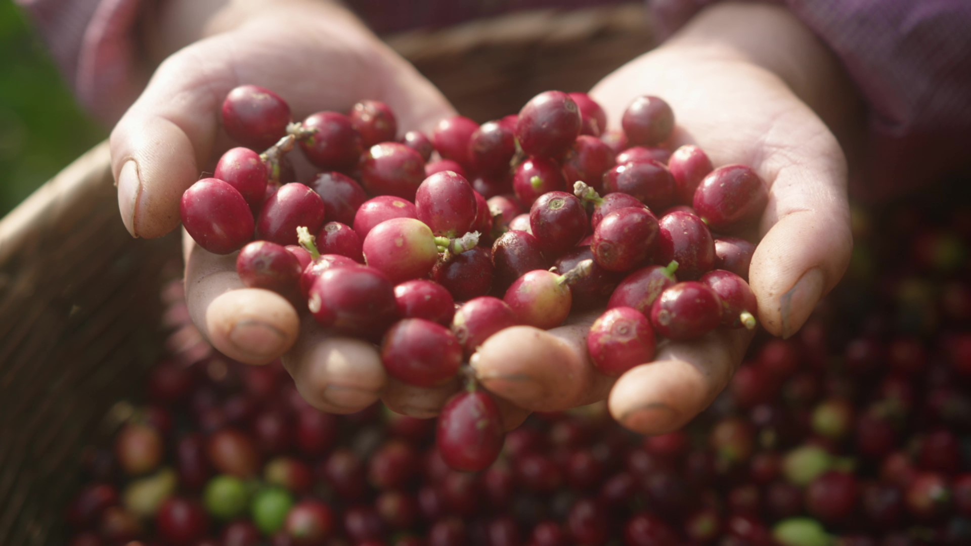 HBN×中国国家地理 纪录片《时间会等人》 - 数英