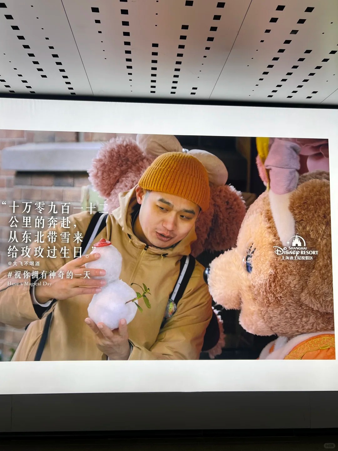 迪士尼的营销，总能打动我们 - 数英