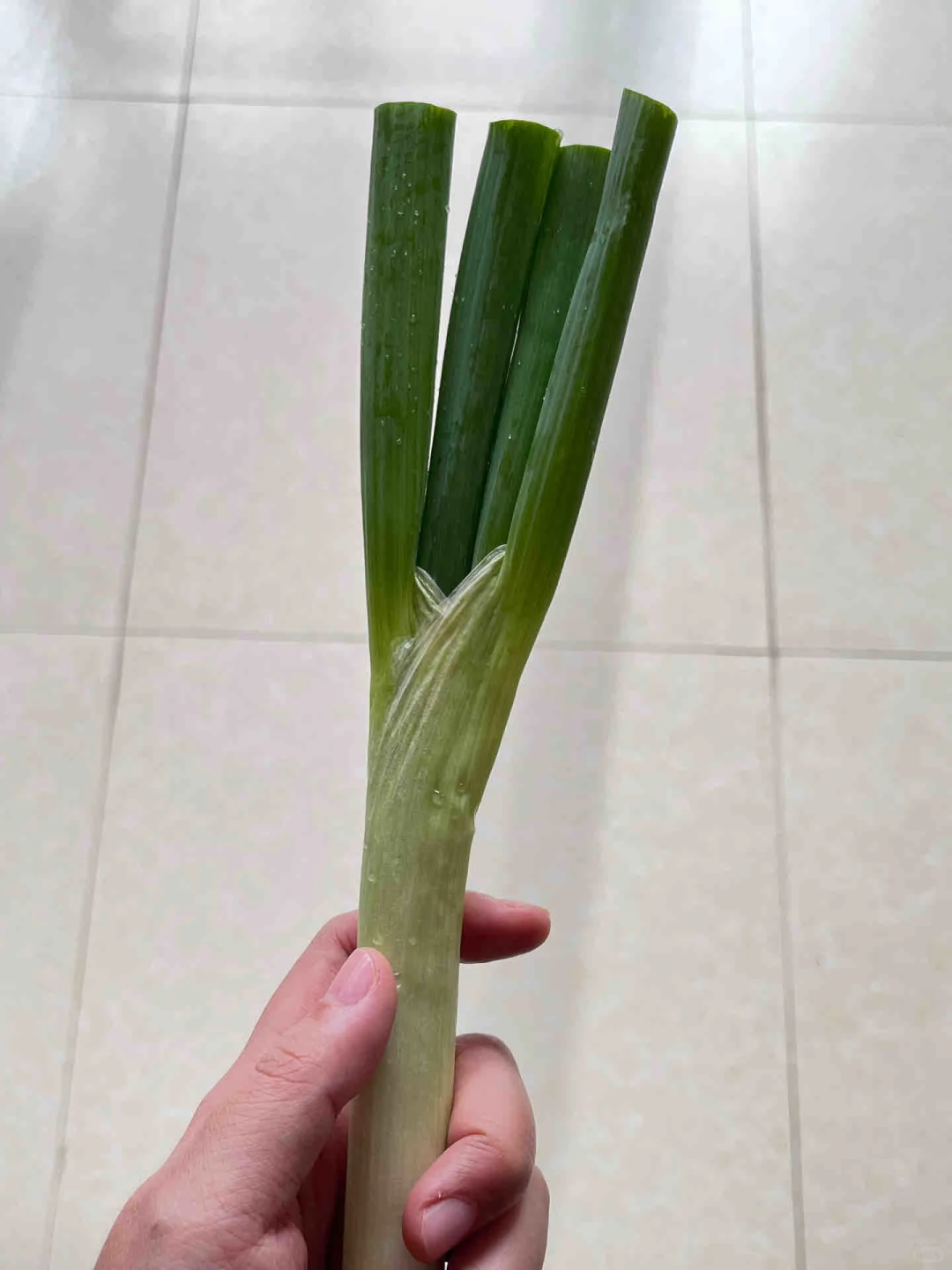 麦当劳带铲，海底捞画牛，最近品牌搞活动开始「玩转线下」了？ - 数英