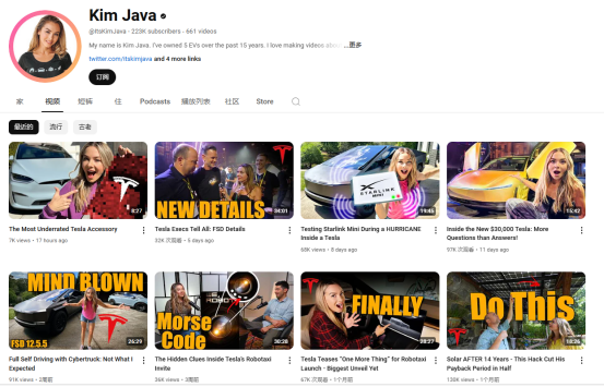 新能源企业出海，社媒营销该怎么玩？ - 数英