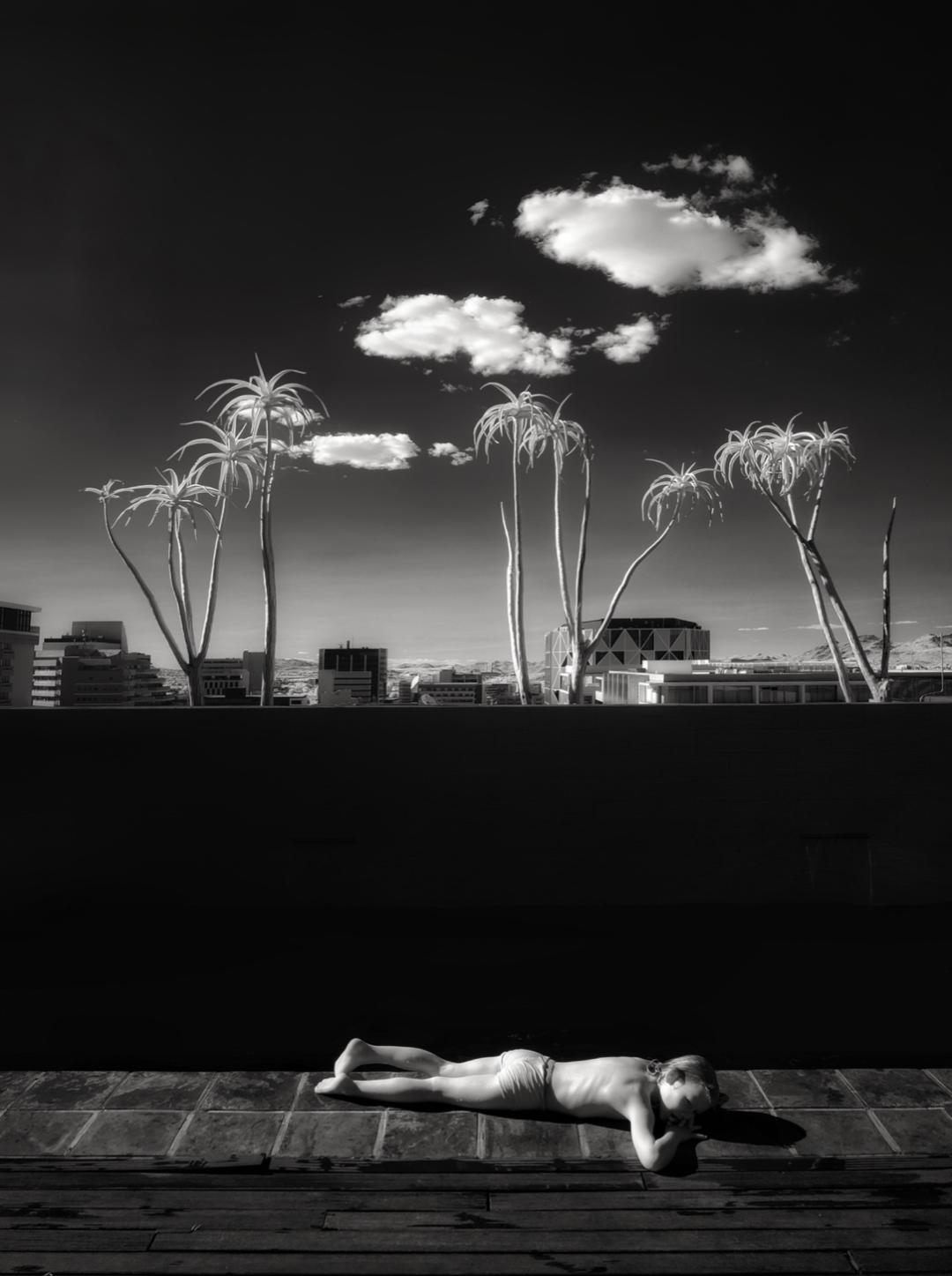 2025索尼世界摄影大赛，欣赏70+顶尖作品 - 数英